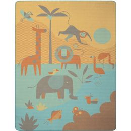 Biederlack Babydecke EXPEDITION (BL 75x100 cm)