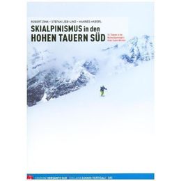 Versante Sud Skialpinismus in den Hohen Tauern - Robert Zink, Kartoniert (TB)
