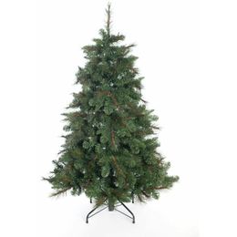 Evergreen - Mesa Fichte 210 cm 210 cm ohne Lichterkette