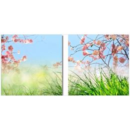Wallario Acrylglasbild, Kirschblütenzweige und grüne Wiese- Frühling