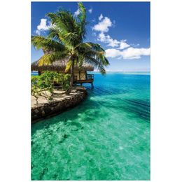 Wallario Acrylglasbild, Karibisches Meer  Einsame Hütte unter Palmen
