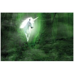 Wallario Acrylglasbild, Weißes Einhorn im grünen Wald