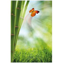 Wallario Acrylglasbild, Schmetterling im Grünen mit Bambus