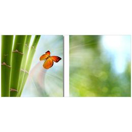 Wallario Acrylglasbild, Schmetterling im Grünen mit Bambus