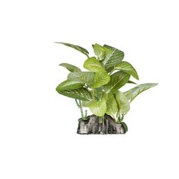 ReptiZoo Terrarium ReptiZoo Kunststoffpflanze (Fittonia verschaffeltii) ca. 12 cm TP067