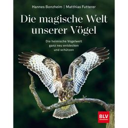 Die magische Welt unserer Vögel - Hannes Bonzheim, Matthias Futterer, Gebunden