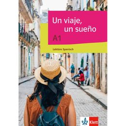 Un viaje, un sueño - Mónica Hagedorn Castro-Peláez, Geheftet