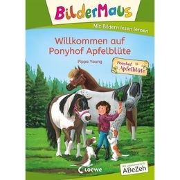 Loewe Verlag Bildermaus - Willkommen auf Ponyhof Apfelblüte - Pippa Young, Gebunden