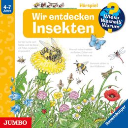 Wir entdecken Insekten,Audio-CD - Angela Weinhold (Hörbuch)