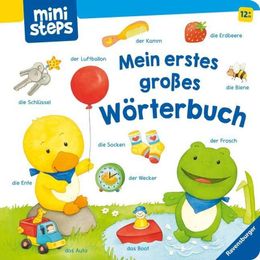 RAVENSBURGER VERLAG ministeps: Mein erstes großes Wörterbuch - Hannelore Dierks, Pappband