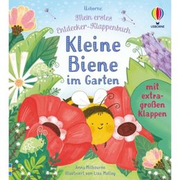 Mein erstes Entdecker-Klappenbuch: Kleine Biene im Garten - Anna Milbourne, Gebunden