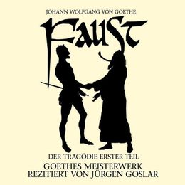 ZYX Music Faust: Der Tragödie erster Teil, 2 Audio-CDs,2 Audio-CD - Johann Wolfgang von Goethe (Hörbuch)