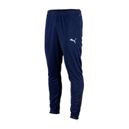 Puma Sporthose teamRISE Poly Trainingshose