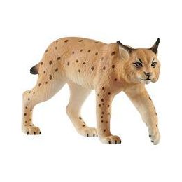 Schleich Wild Life Luchs, Spielfigur Serie: Wild Life Art: Spielfigur Zielgruppe: Schulkinder, Kindergartenkinder