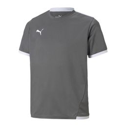 Puma Fußballtrikot teamLIGA Trikot Kids