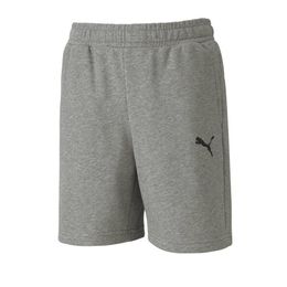 Puma Sporthose teamGOAL 23 Casuals Shorts Kids