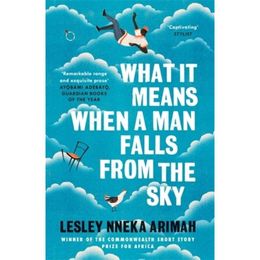 Headline What It Means When A Man Falls From The Sky - Lesley Nneka Arimah, Kartoniert (TB)