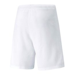 Puma Sporthose teamRISE Short