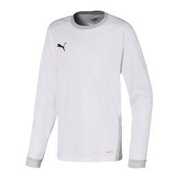 Puma Fußballtrikot teamGOAL 23 Trikot langarm Kids