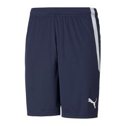 Puma Sporthose teamLIGA Short