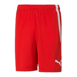 Puma Sporthose teamLIGA Short