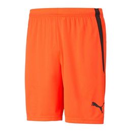 Puma Sporthose teamLIGA Short