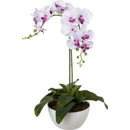 Kunstpflanze Orchidee, Creativ green, Höhe 65 cm, lila