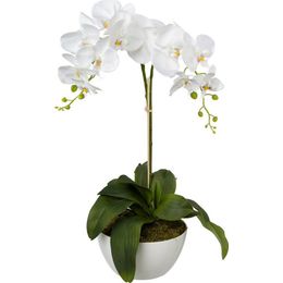 Kunstpflanze Orchidee, Creativ green, Höhe 65 cm, weiß
