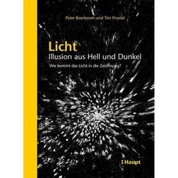 haupt Licht: Illusion aus Hell und Dunkel - Peter Boerboom, Tim Proetel, Leinen