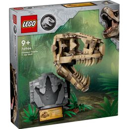 Lego® Jurassic World™ - 76964 Dinosaurier-Fossilien: T.-Rex-Kopf, MEHRFARBIG