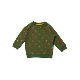 Little Green Radicals Sweatshirt "Red apples" in Dunkelgrün - 92