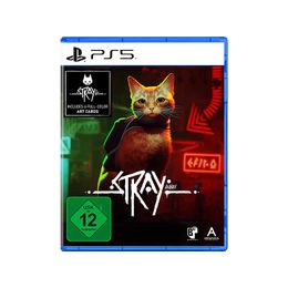 Skybound Stray - [PlayStation 5]