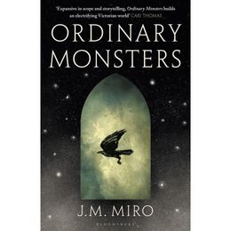 Ordinary Monsters - J. M. Miro, Kartoniert (TB)