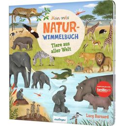 Mein erstes Natur-Wimmelbuch: Tiere aus aller Welt - Katharina Lotz, Pappband