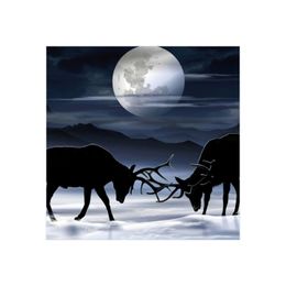 Wallario Memoboard Elch im Schnee bei Mondschein