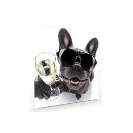Primedeco Glasbild Wandbild Quadratisch Bulldogge mit Prosecco Glas mit Aufhängung