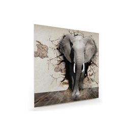 Primedeco Glasbild Wandbild Quadratisch Elefant 3D mit Aufhängung