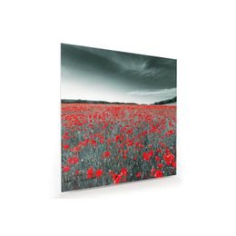 Primedeco Glasbild Wandbild Quadratisch Wiese mit Rotem Mohn mit Aufhängung