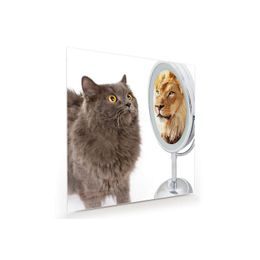 Primedeco Glasbild Wandbild Quadratisch Katze sieht Löwe im Spiegel mit Aufhängung