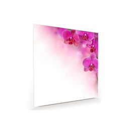 Primedeco Glasbild Wandbild Quadratisch Orchideen Design mit Aufhängung