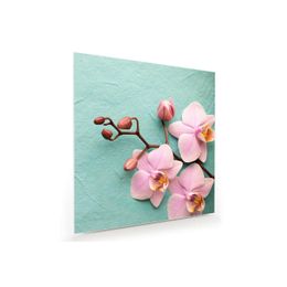 Primedeco Glasbild Wandbild Quadratisch Orchideen auf Steinplatte mit Aufhängung