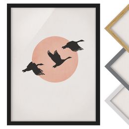 Bild mit Rahmen V&ouml;gel vor rosa Sonne III