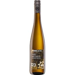 Weingut Hammel Hammel 2023 Tage wie diese - Riesling trocken