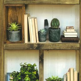A.S. Création A.s.creations - Vintage Tapete mit Bücherregal in Braun und Grün | Kaktus Tapete im Shabby Chic | Ausgefallene 3D Vliestapete ideal für Wohnzimmer