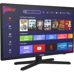 Selfsat LED-TV Smart 1222, 55 cm (22"), EEK: F, HD-Tuner, WLAN, Bluetooth