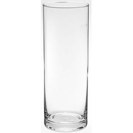 Van Well Bierglas Bierstange, Glas, 0,4 L, geeicht, spülmaschinenfest, Gastronomiequalität, 12-tlg., weiß