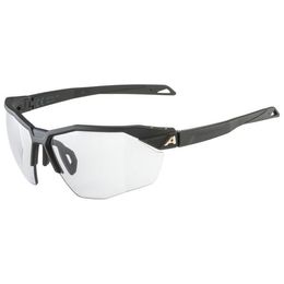 Alpina - Twist Six HR V Cat. 1-3 - Sonnenbrille weiß/grau