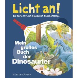 Mein großes Buch der Dinosaurier, Pappband