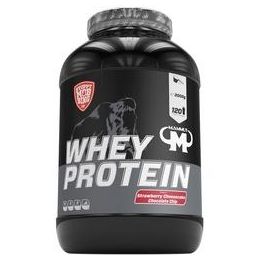 Whey Protein - Strawberry Cheesecake Chocolate Chip - 3000 g Dose 3000 g