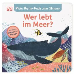 Dorling Kindersley Mein Pop-up-Buch zum Staunen. Wer lebt im Meer? - Sandra Grimm, Pappband